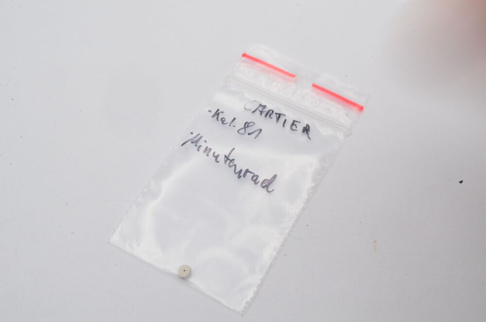 CARTIER KALIBER 81 MINUTENRAD MINUTE WHEEL VINTAGE RAR - Uhren-Kölbel GmbH